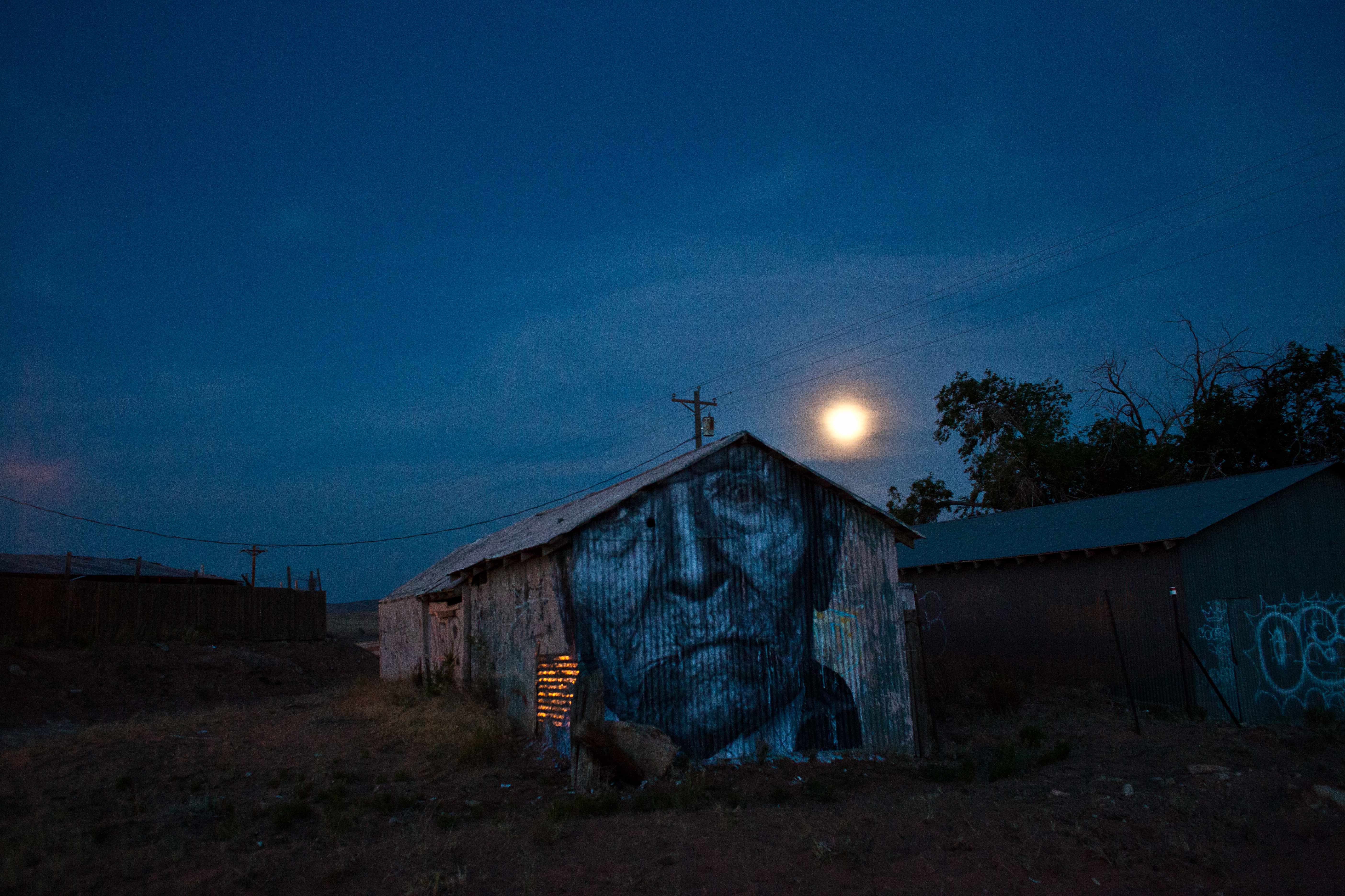 king-fowler-on-shed – jetsonorama